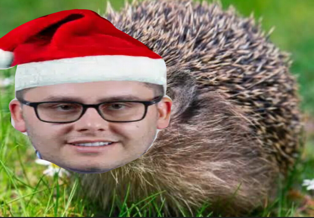 Lucra anche tu come il Big Porcospino - Memes - Fuffapedia - 100% Fuffa ...